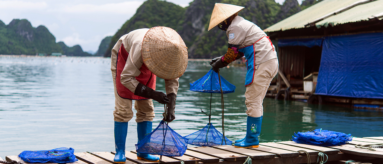 Gemological Institute Of America | All About Gemstones - GIA