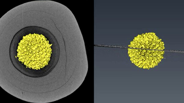 New 3-D Software Expands GIA’s Pearl Identification Capabilities ...