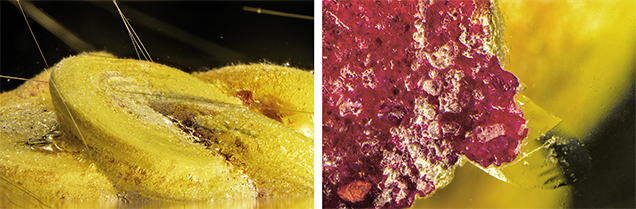 Manufactured Inclusions in Gem Materials | Gems & Gemology