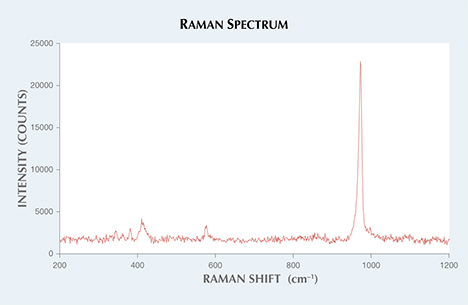 Diamond Inclusion with Radiation Halo | Gems & Gemology