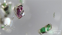 Gemological Institute Of America | All About Gemstones - GIA