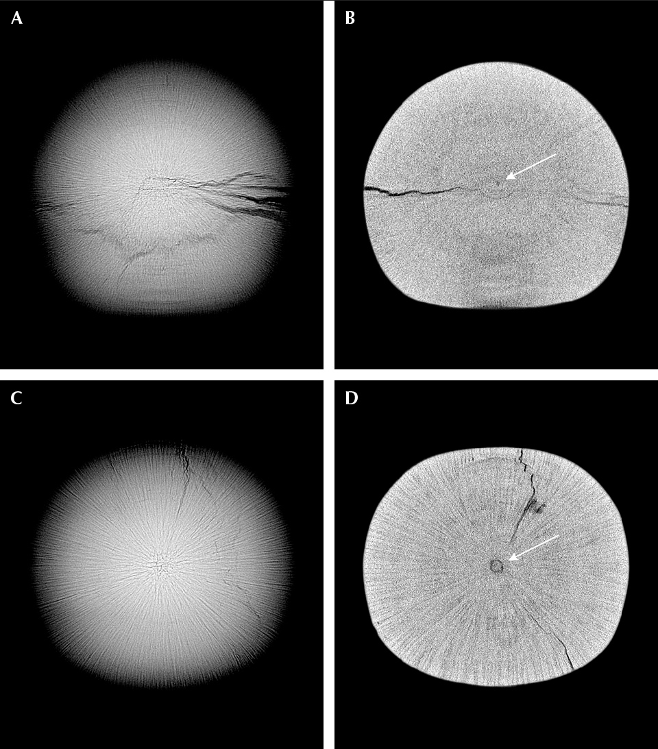 Two Pen Pearls from Bahrain