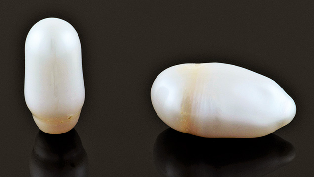 Unique Non-Bead Cultured Freshwater Pearls from Lake Biwa, Cultured for ...