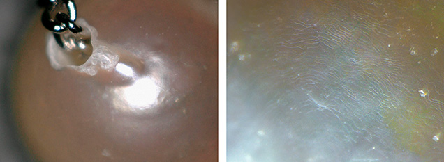 Akoya Cultured Pearl Prize in an Arcade-Style Claw Game