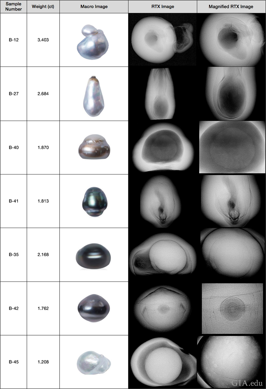 Non-Bead-Cultured Pearls from Pinctada margaritifera | Research & News