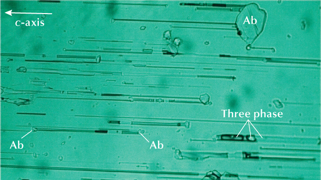 Unusual Inclusions in Natural Emerald from Chivor